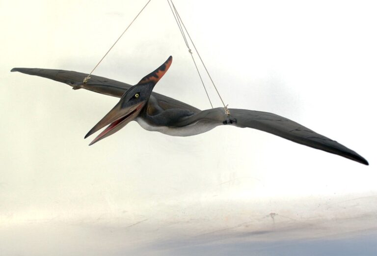 Baby Pteranodon Statue
