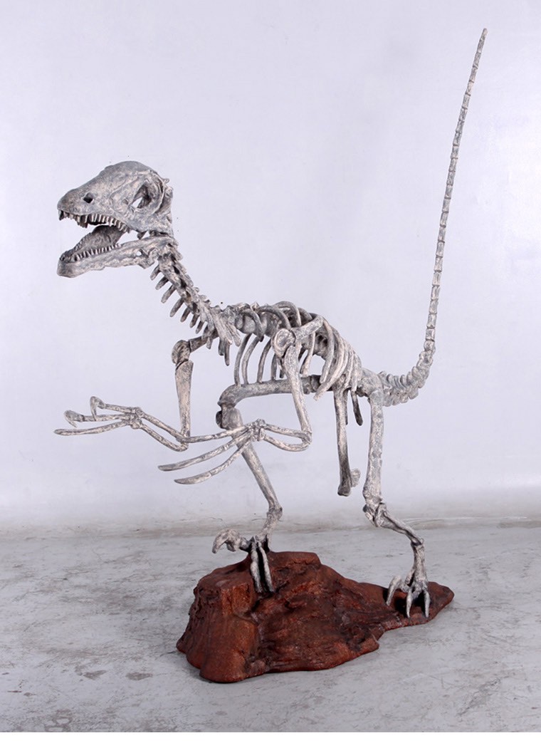 Deinonychus Skeleton Statue