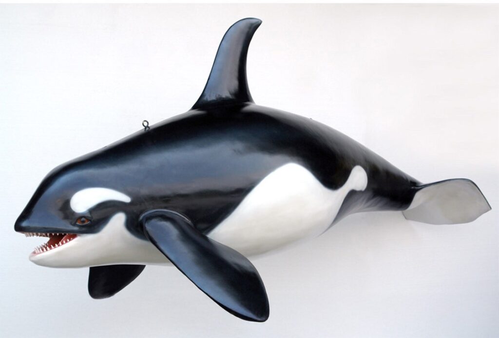Orca Whale Statue