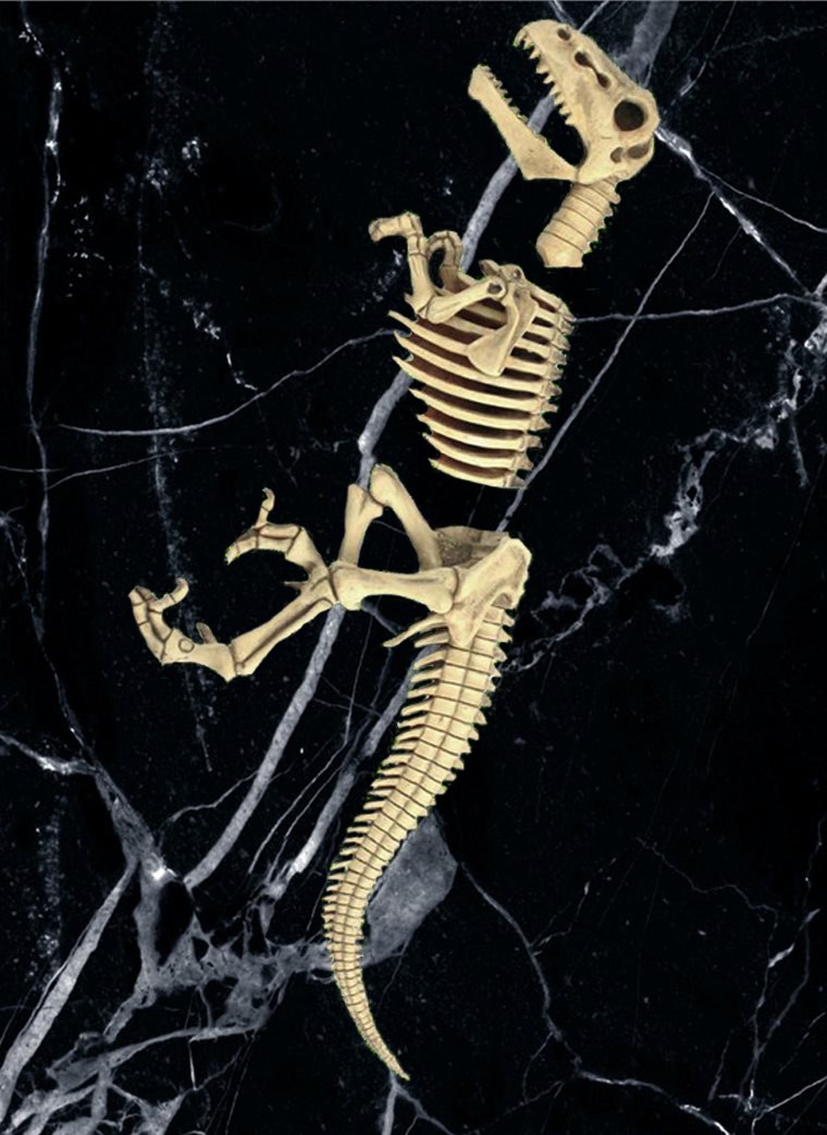 Dig Site Raptor Skeleton - Long Island Statue Shop